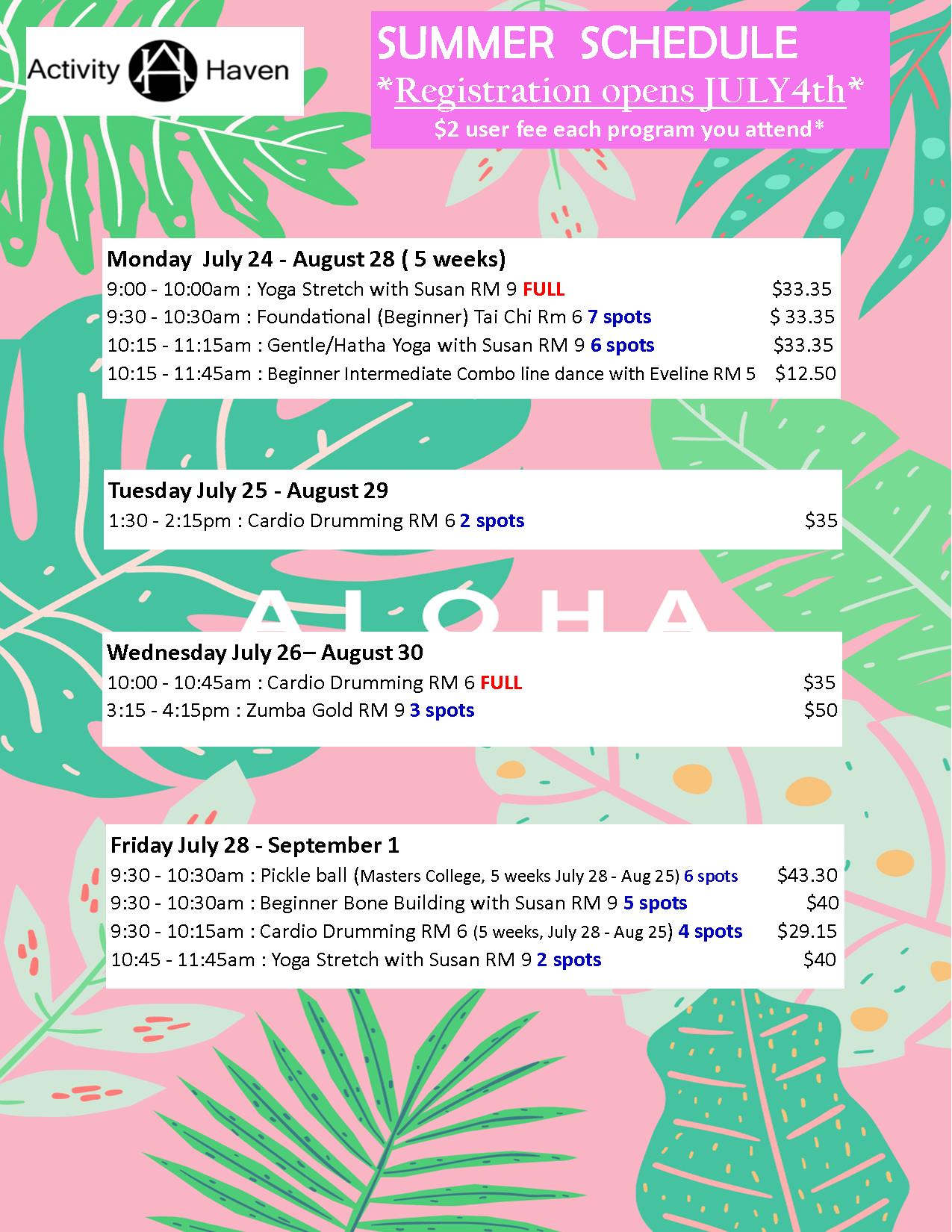 Instructional Programs – Activity Haven